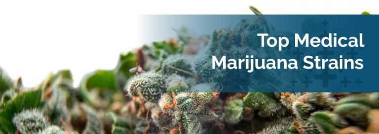Top Medical Marijuana Strains - Marijuana Doctors Top Medical Marijuana Strains - Marijuana Doctors