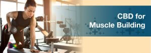 CBD for Muscle Building - Marijuana Doctors