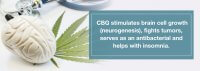 Cannabigerol (CBG) – Marijuana Doctors | Online Medical Card Directory