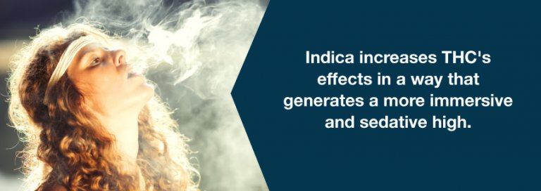 Cannabis Indica: Effects, Benefits, and More | Marijuana Doctors