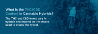 Cannabis Hybrids | Hybrid Strains & Their Uses | Marijuana Doctors