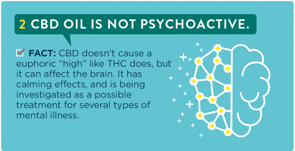 Myths and Facts about CBD Oil %%page%% %%sep%% %%sitename%%